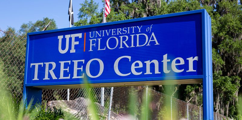 Professional and Workforce Development – University of Florida